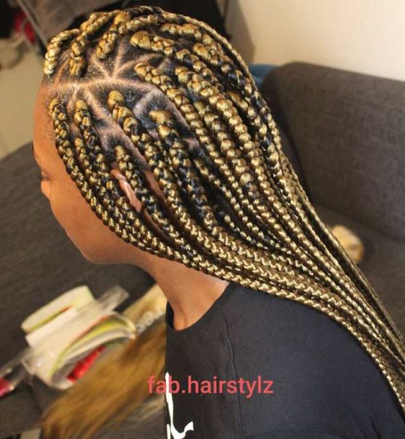 Latest African Braids Styles You Should Consider for Elegant Looks ...
