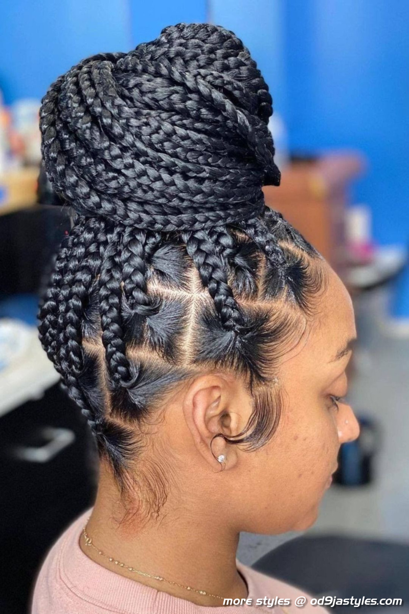 Stunning Braided Updos Suitable for Any and Every Occasion - OD9JASTYLES