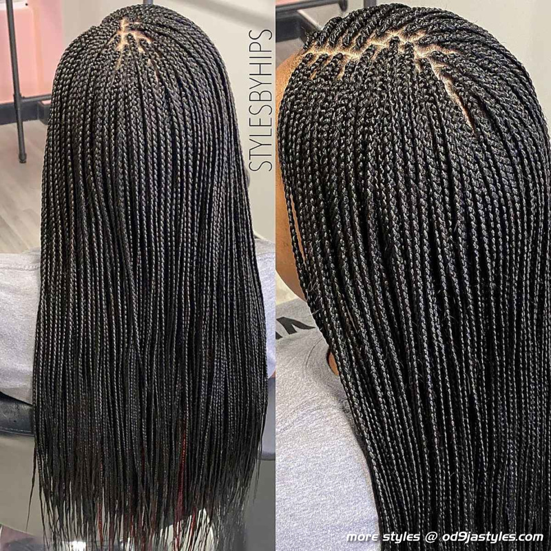 Best Long Box Braids Hairstyles for Stylish Women To Consider - OD9JASTYLES
