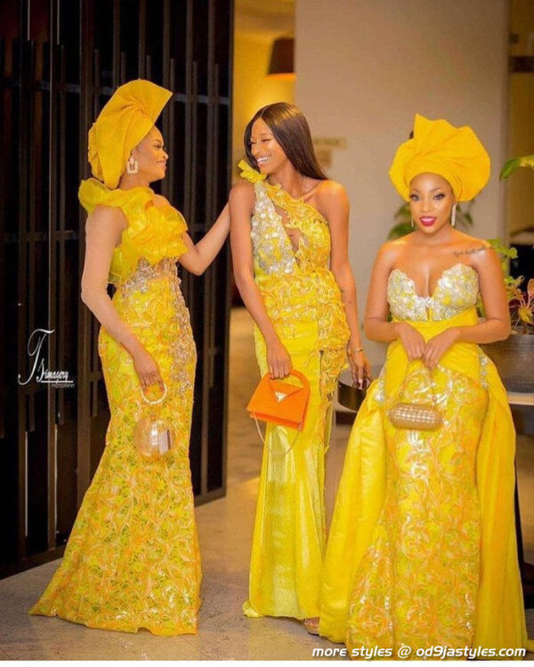 50 Collection of Best African Lace styles & Designs For Special ...